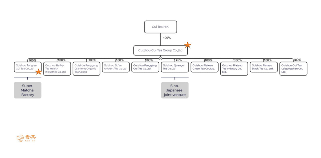 Organizational Structure – Gui Tea Matcha